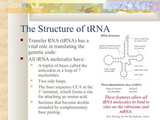 7.4 translation | PPT | Programming Languages | Computing