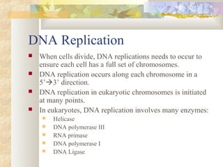 7.2 dna replication | PPT