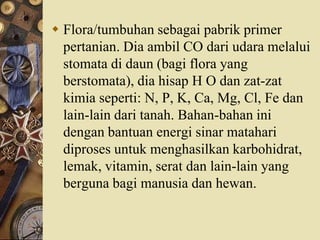 7.faktor produksi tanah | PPTX