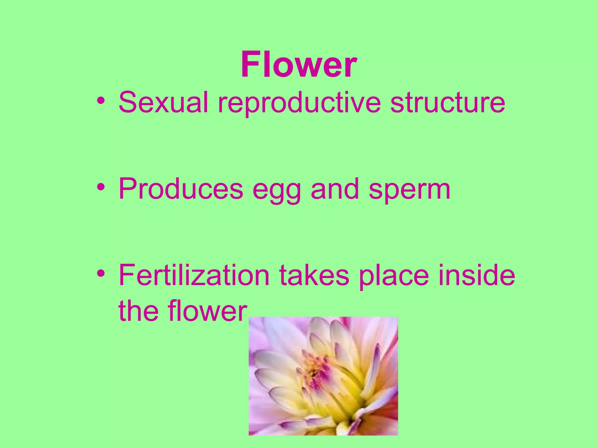 7. Reproduction in flowering plants - Part 2 | PPT