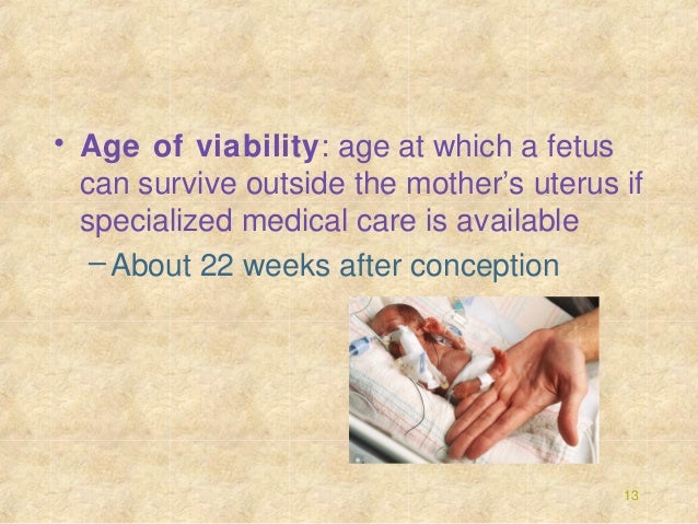 7. 9th week to birth embryology