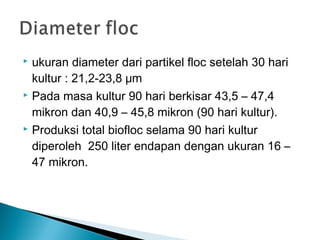 7. teknologi biofloc | PPT