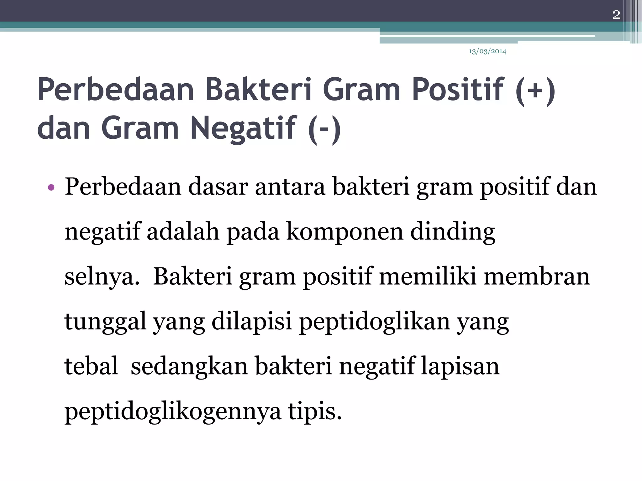 perbedaan gram positif dan gram negatif | PPTX