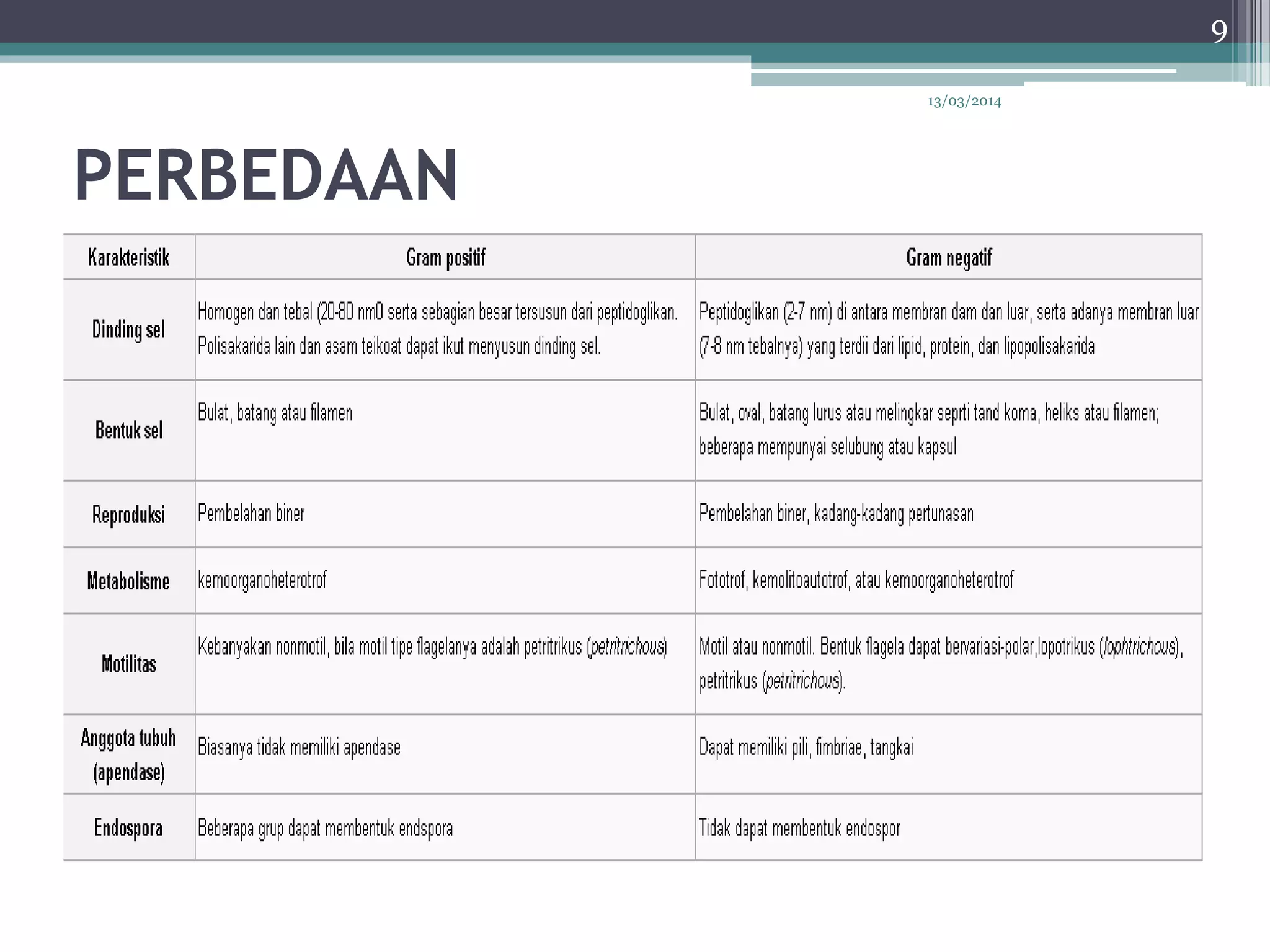 perbedaan gram positif dan gram negatif | PPTX