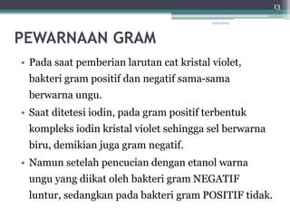 perbedaan gram positif dan gram negatif | PPTX