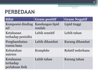 perbedaan gram positif dan gram negatif | PPTX