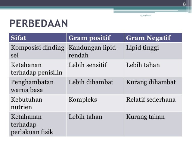 perbedaan gram positif dan gram negatif