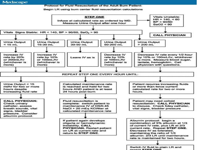 management of a burn patient | PPT