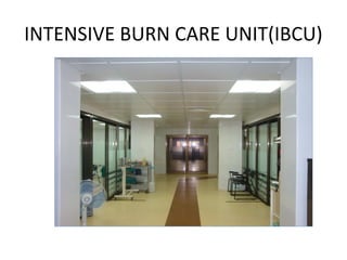 management of a burn patient | PPT
