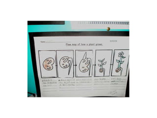 6-Peta Alir (Flow Map) | PPT