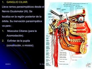Sistema nervioso periferico | PPTX