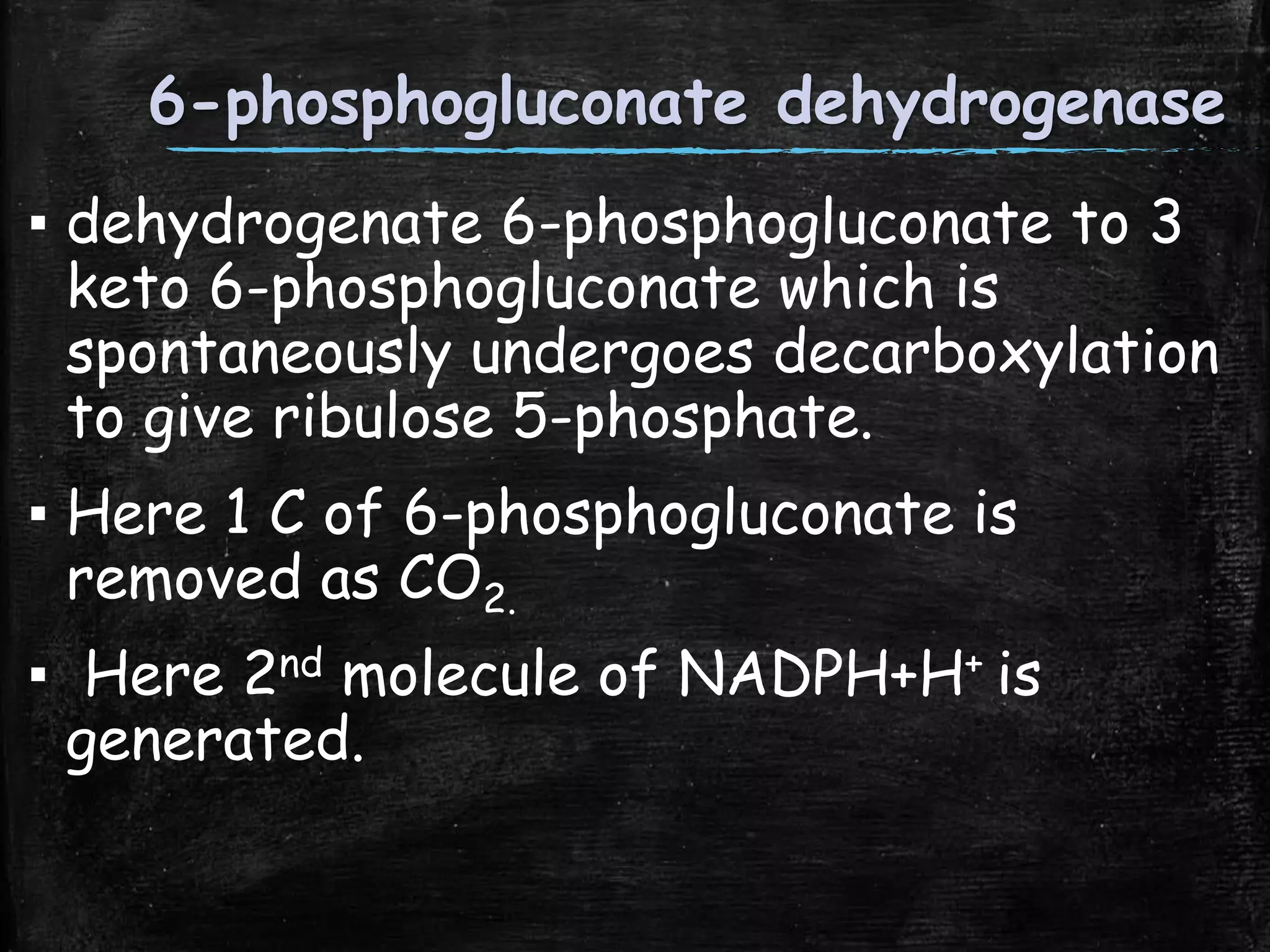 Hexose Monophosphate Shunt | PPSX