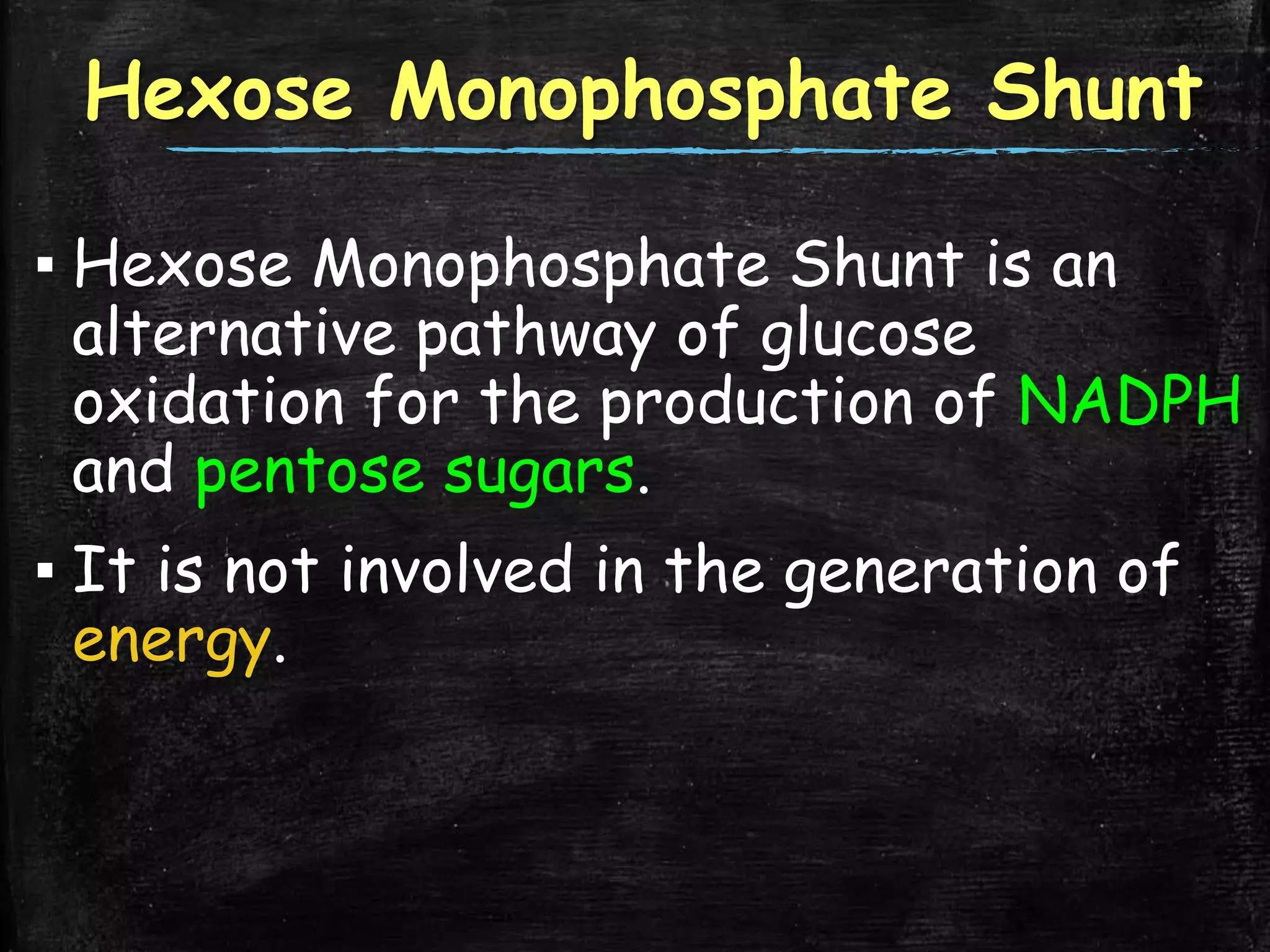 Hexose Monophosphate Shunt | PPSX
