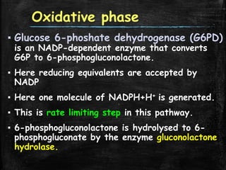 Hexose Monophosphate Shunt | PPSX
