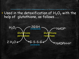 Hexose Monophosphate Shunt | PPSX