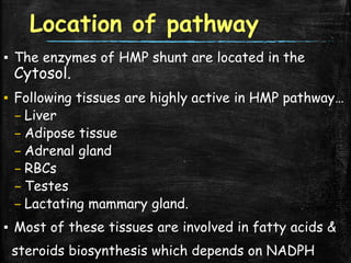 Hexose Monophosphate Shunt | PPSX