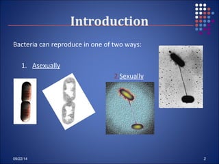 7. bacterial reproduction | PPT