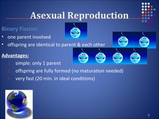 7. bacterial reproduction | PPT