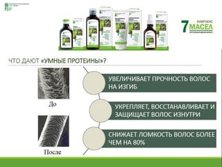 7 масел презентация | PPT