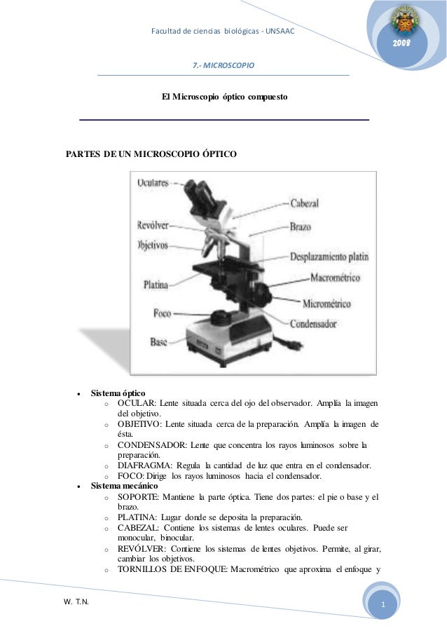 Informe Laboratorio De Tecnicas Microscopicas