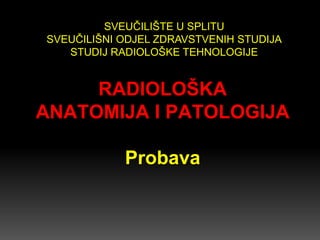 7. probava i urotrakt st | PDF