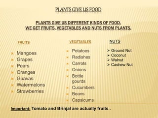 7.uses of plants | PPTX