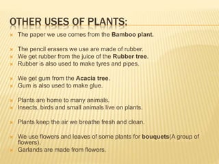 7.uses of plants | PPTX