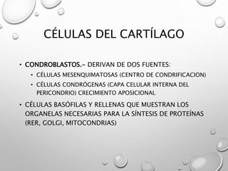 Tejido Conectivo "Cartilago" | PPTX