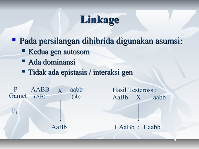 7. linkage, crossing over & peta kromosom | PPT