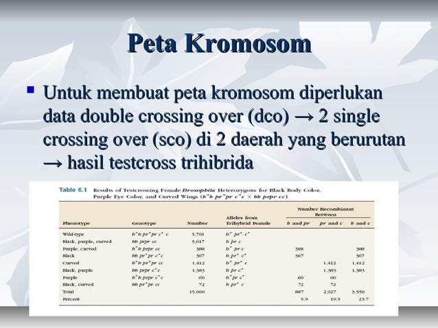 7. linkage, crossing over & peta kromosom | PPT