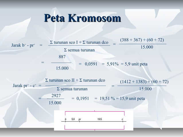 7. linkage, crossing over & peta kromosom | PPT