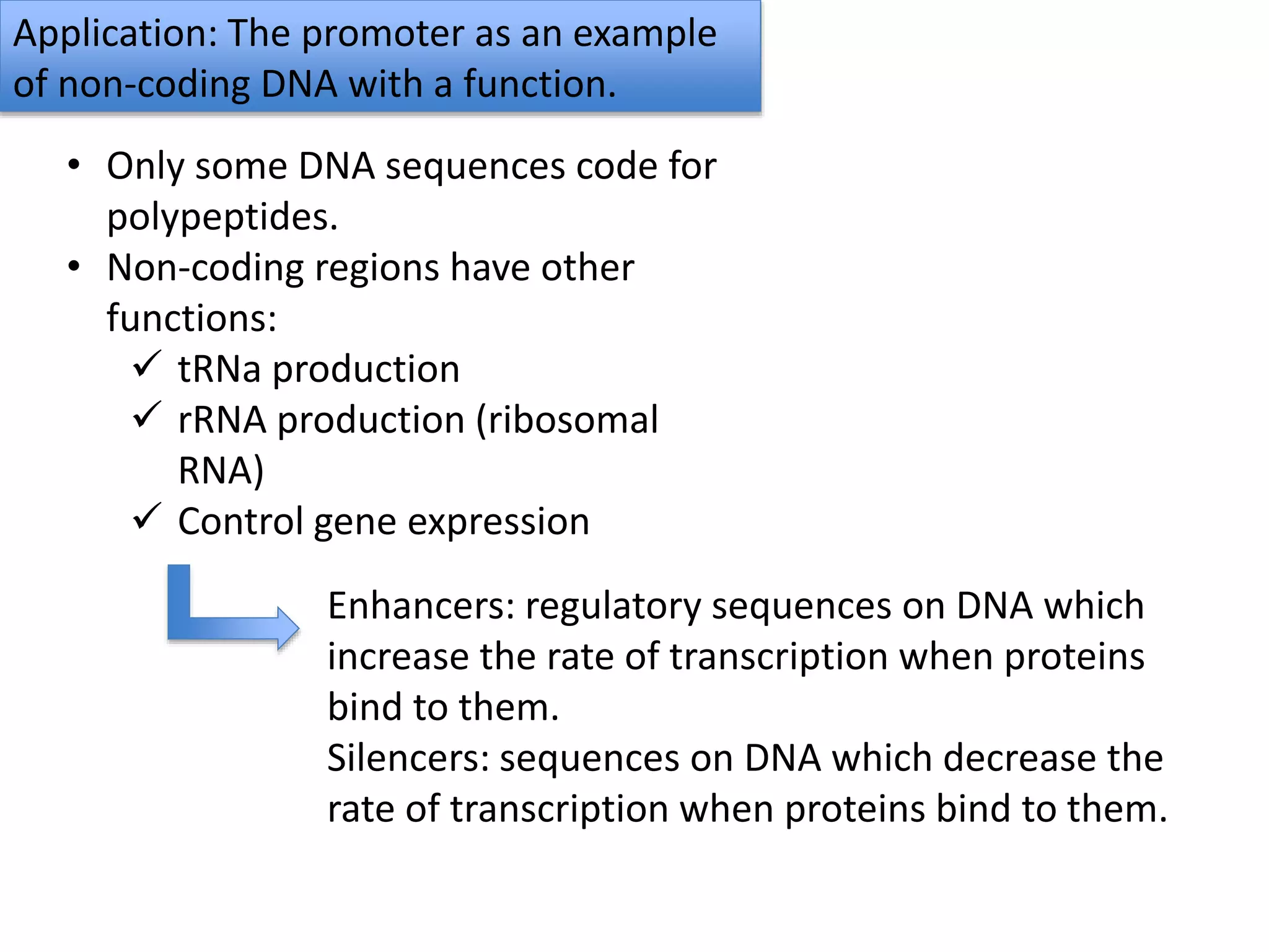 7.2 transcription & gene expression slideshare | PPTX