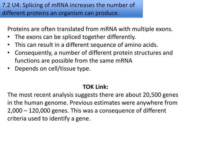 7.2 transcription & gene expression slideshare | PPTX