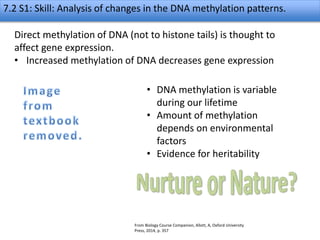 7.2 transcription & gene expression slideshare | PPTX