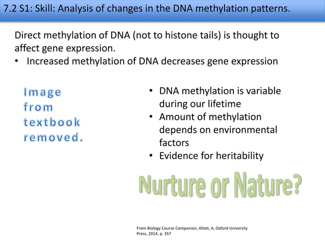 7.2 transcription & gene expression slideshare | PPTX