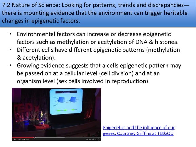 7.2 transcription & gene expression slideshare | PPTX