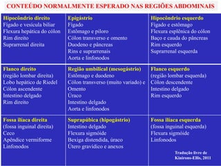 7. espaços anatômicos do abdome rx do trauma | PPTX