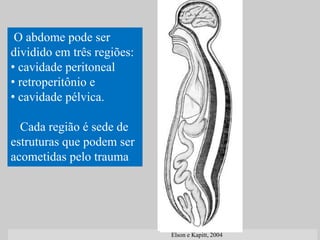 7. espaços anatômicos do abdome rx do trauma | PPTX