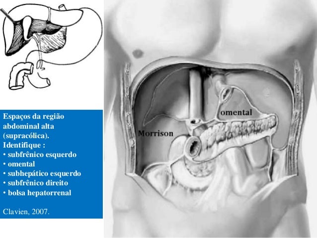 7. espaços anatômicos do abdome rx do trauma
