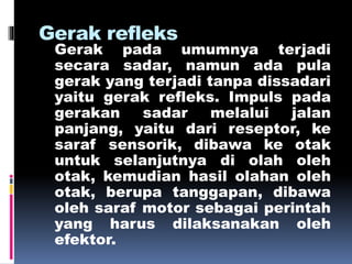 Susunan otot dan bagian bagiannya | PPTX