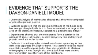 7. membrane structure | PPTX