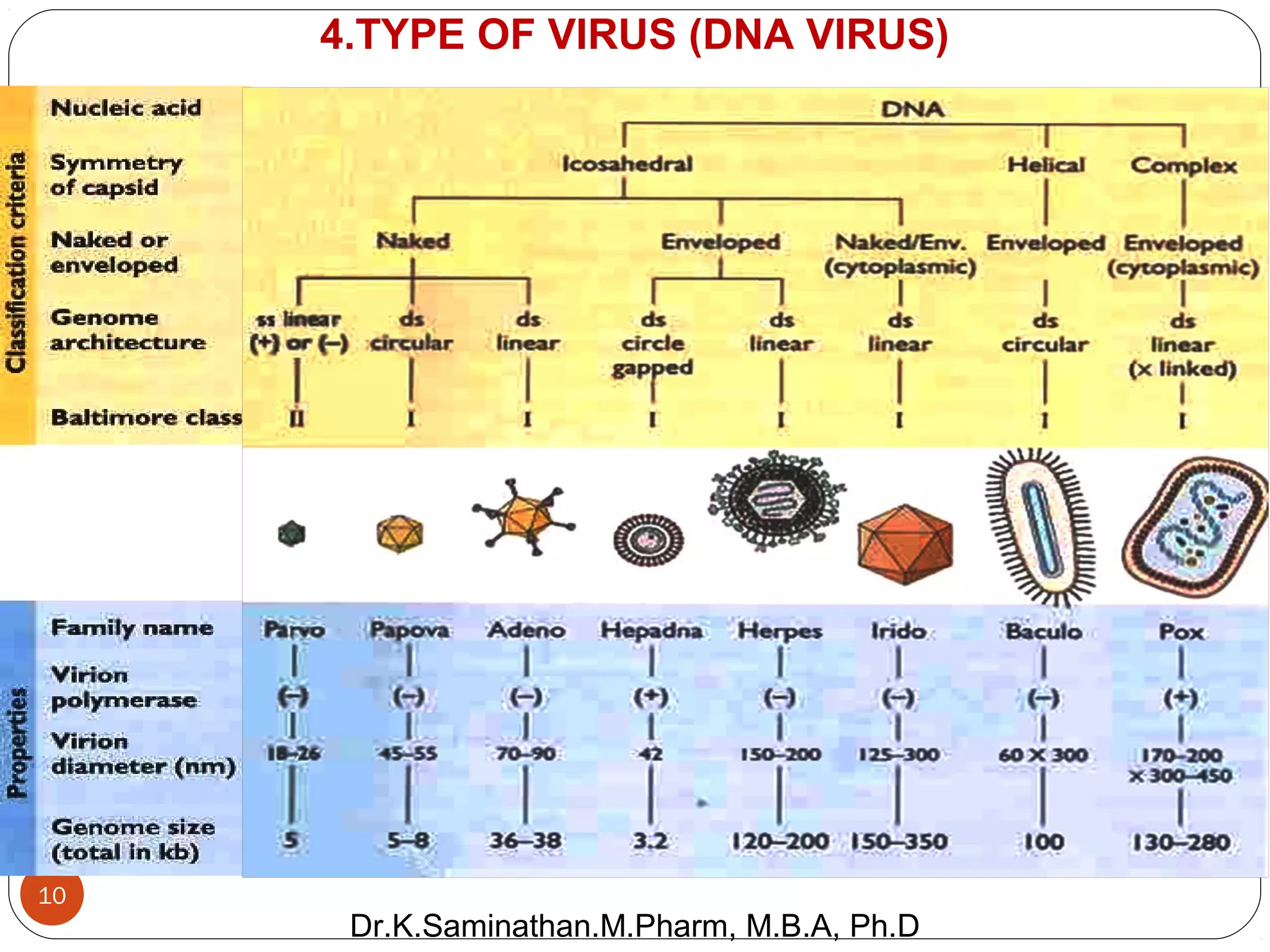 7.ANTIVIRAL DRUGS | PPT