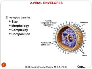 7.ANTIVIRAL DRUGS | PPT