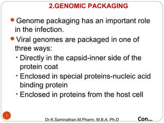 7.ANTIVIRAL DRUGS | PPT