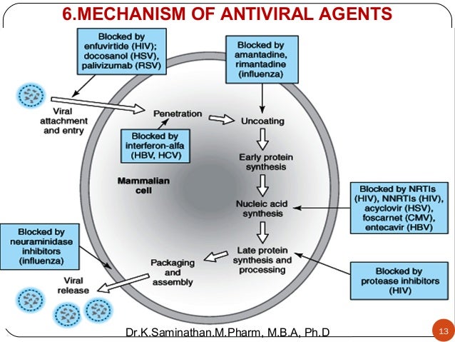 7.ANTIVIRAL DRUGS