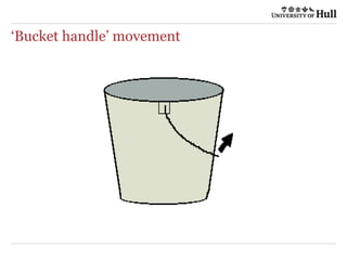 Respiratory system | PPTX | Lung and Respiratory Health | Diseases and ...