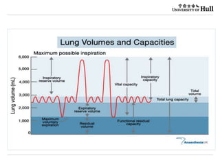 Respiratory system | PPTX | Lung and Respiratory Health | Diseases and ...