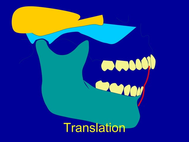 mandibular movements | PPT | Dental Health | Diseases and Conditions