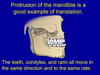 mandibular movements | PPT