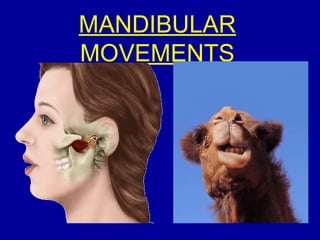 mandibular movements | PPT